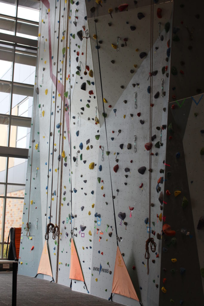 Taking advantage of NIC's services: Student Wellness and Recreation ...