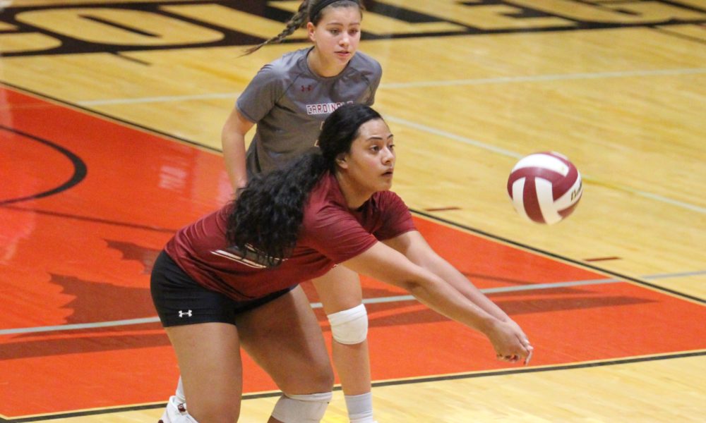 Volleyball makes a surprise early exit - The Sentinel