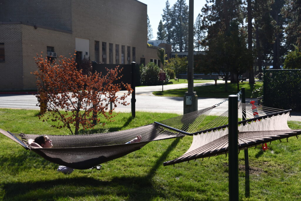 Hanging out in new campus hammocks - The Sentinel
