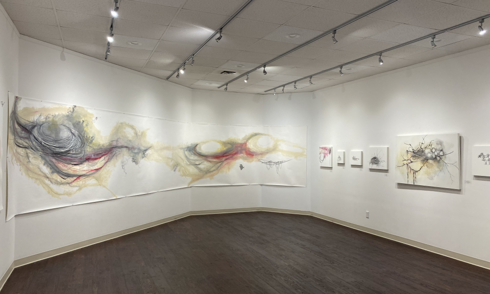 "Up and Down": A local artist shares her work with the NIC community ...